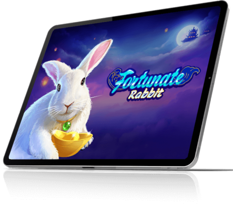 Slot Game Providers - RTG Slots